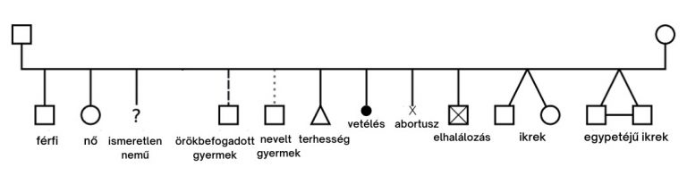 Mi fán terem a genogram? - Személyiségfejlesztő Centrum